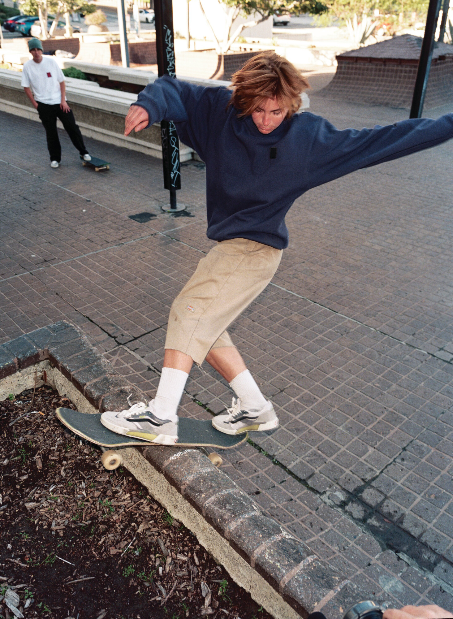 AVE 2.0| VANS（ヴァンズ）公式ストア