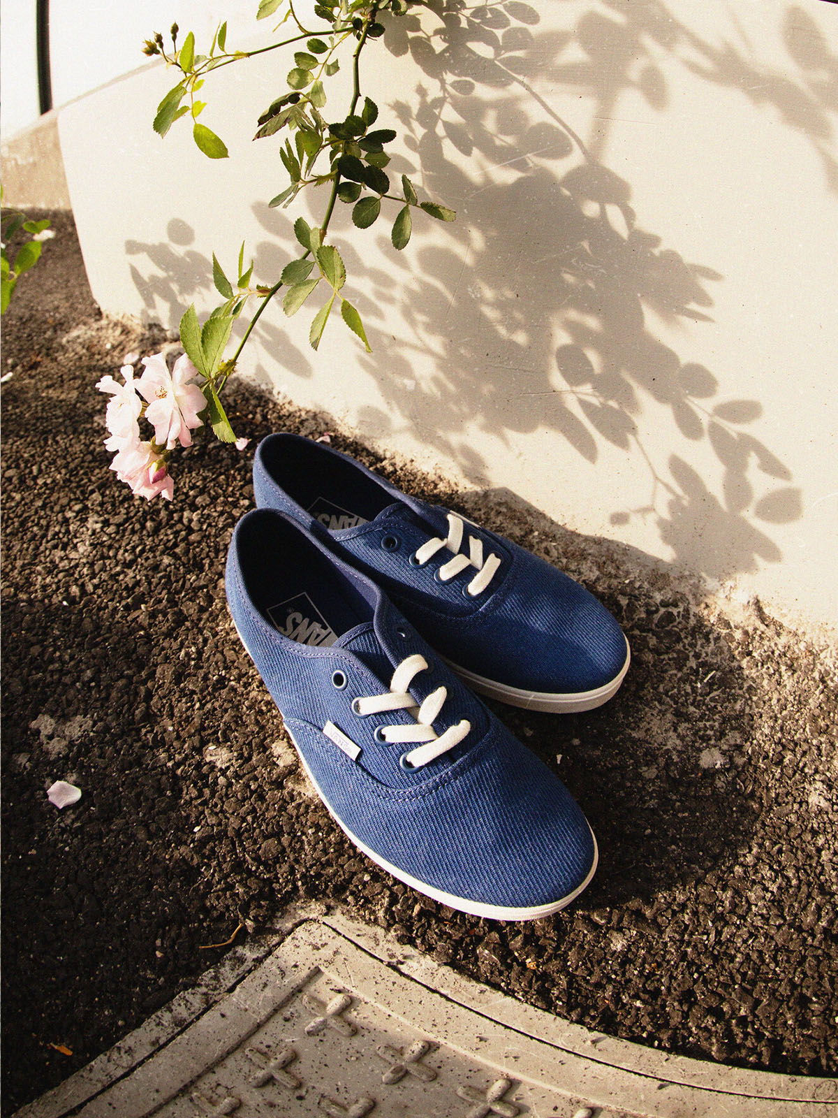 Vans in Navy US 5 JP 23